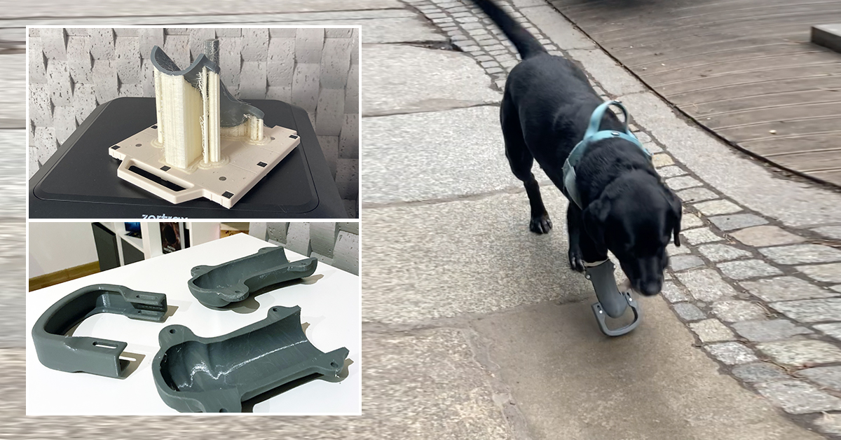 How Veterinary Medicine Can Benefit from 3D Printing | Zortrax